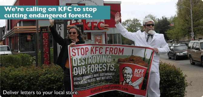 We’re calling on KFC to stop cutting endangered forests | Dogwood ...