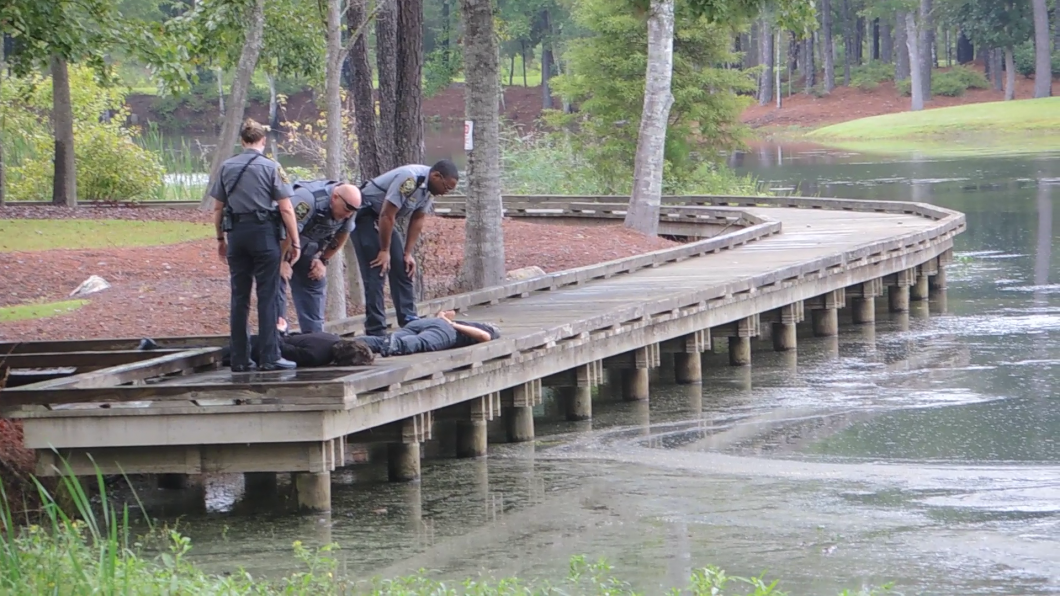 GE Trees | Dogwood AllianceDogwood Alliance